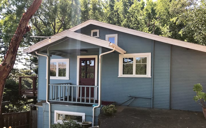 The Blue House - Larkspur, CA