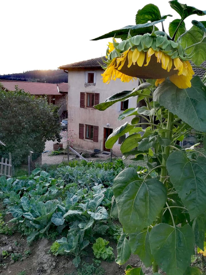 Maison De Charme, 65km De Lyon,  Haut Beaujolais. - Rhône-Alpes