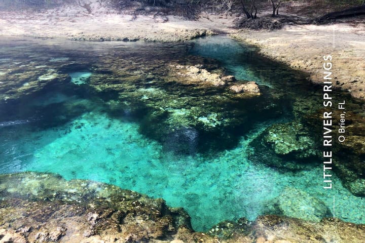 Cave Divers Spring Escape, King Bed, Private Porch - Florida