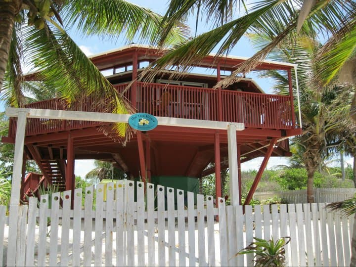 The Tree House: 10% Discount- Last Minute Bookings - Belize