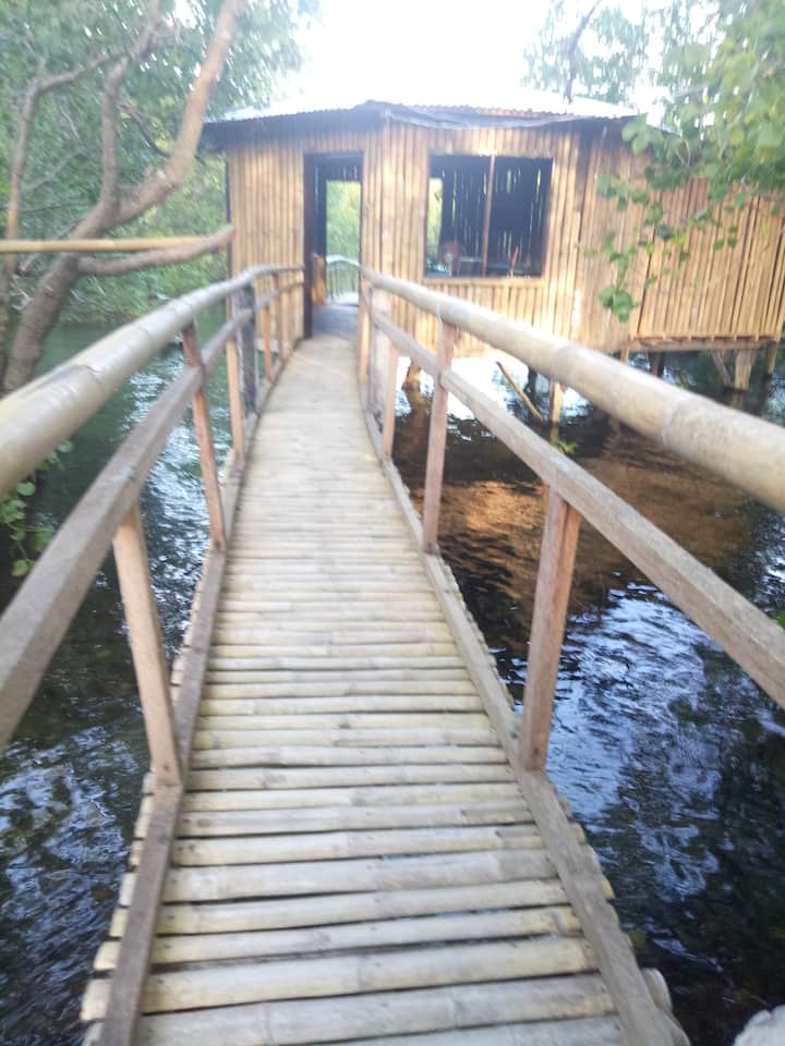 Tree House By The Sea,  Nature At It's Best #1 - Baclayon