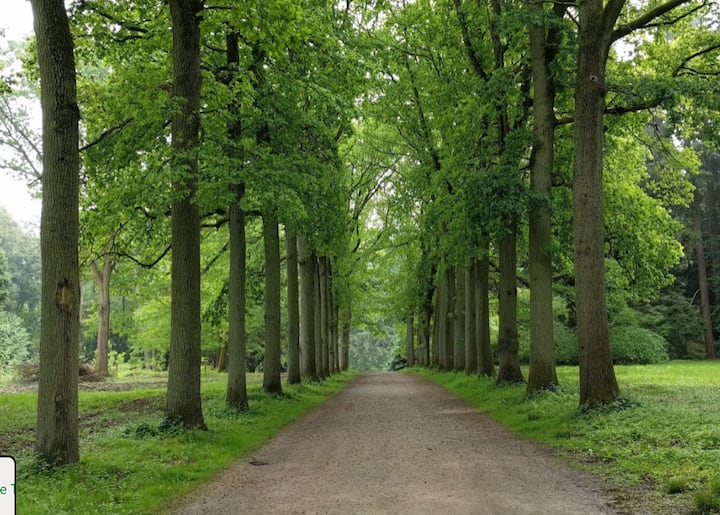 Cosy Room In Tervuren - Zaventem