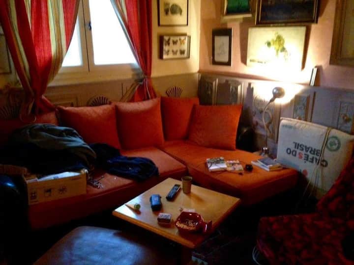 Les ÎLes De Saugy - Issoudun