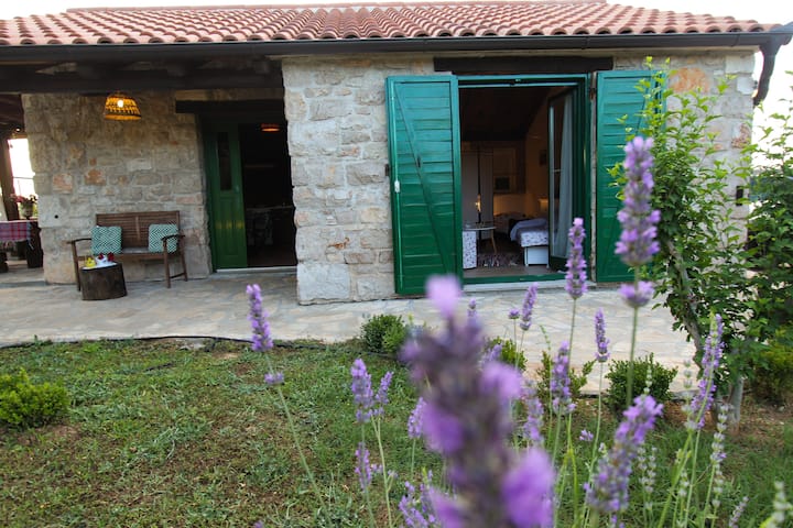 Stone House With Jacuzzi Near Zadar - Croatia