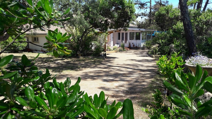 Villa Grégal'ex - Vieux-Boucau-les-Bains