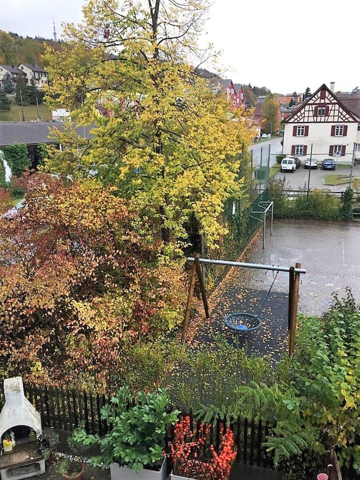 Enjoy Beautiful Rhine From 1 Week To Long Term - Schaffhausen