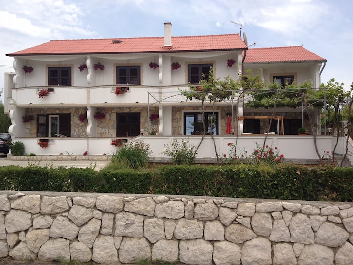 Haus Helena,apartman/studio (2 Osobe) - Lopar