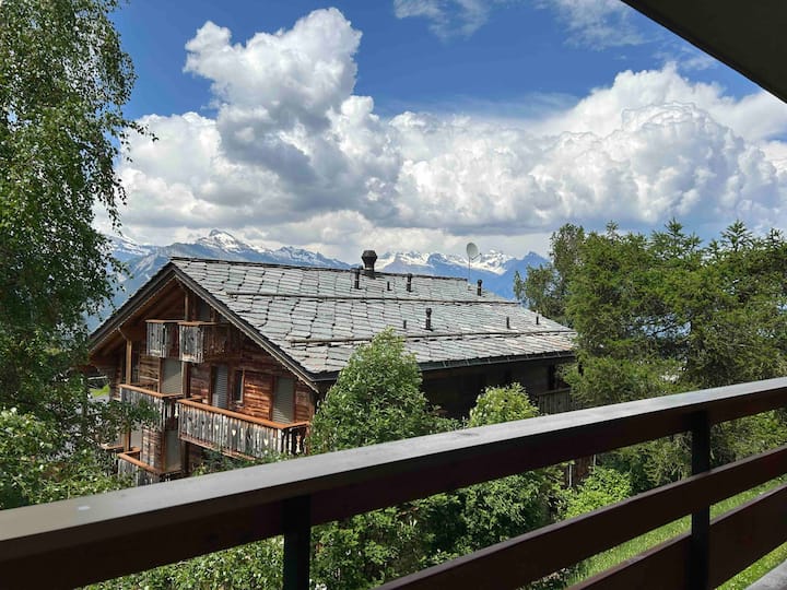 Appartement Haute-nendaz - Nendaz