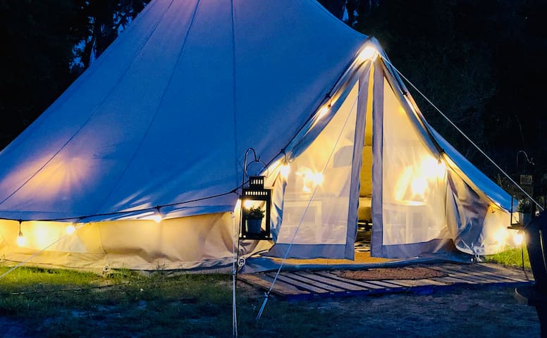 7 Best Glamping Spots Near Orlando, Florida - Updated 2024 | Trip101