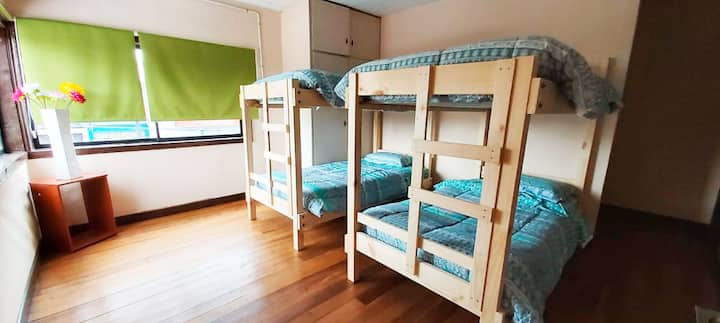 Hostal Newen Osorno -Hab Hasta 4 Personas - Osorno