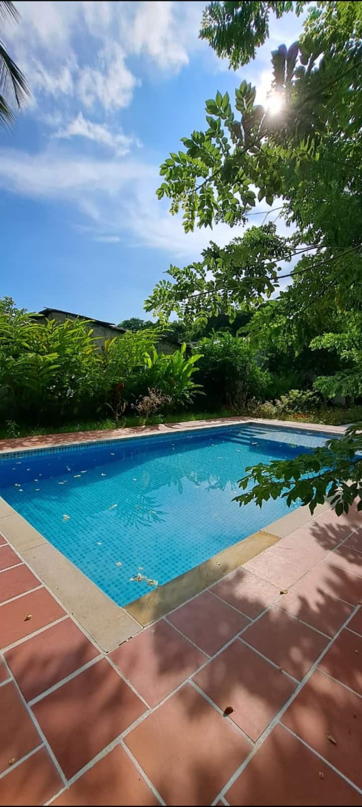 La Casa De Los Pájaros Amarillos - Honda