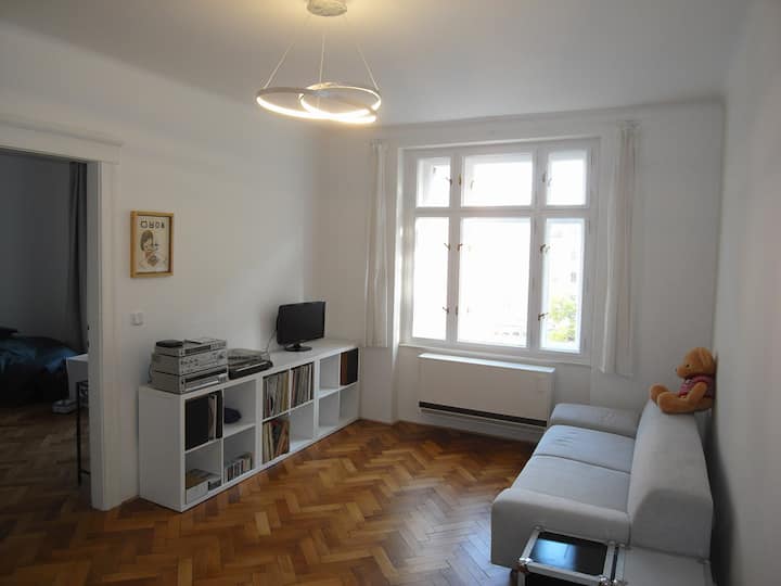 Tree Moves Quietly Outside Of The Balcony Window - Prague