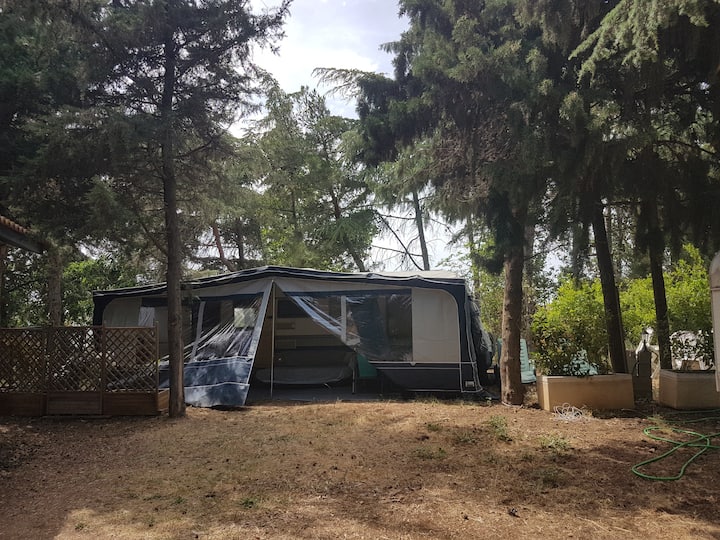 Caravane Fendt Diamant 7m50     6 Couchages - Grau d'Agde
