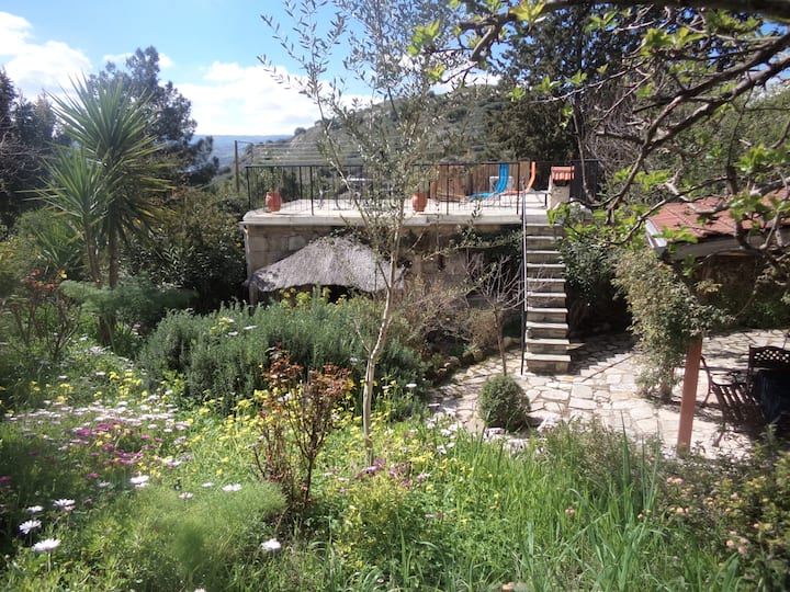 Lemona Vacation Rentals & Homes - Paphos, Cyprus | Airbnb