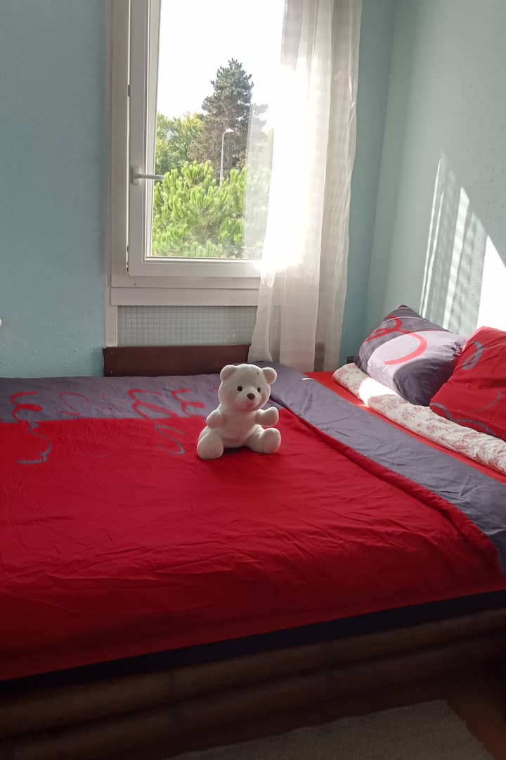 Chambre Travailleur Au Elev - Pessac