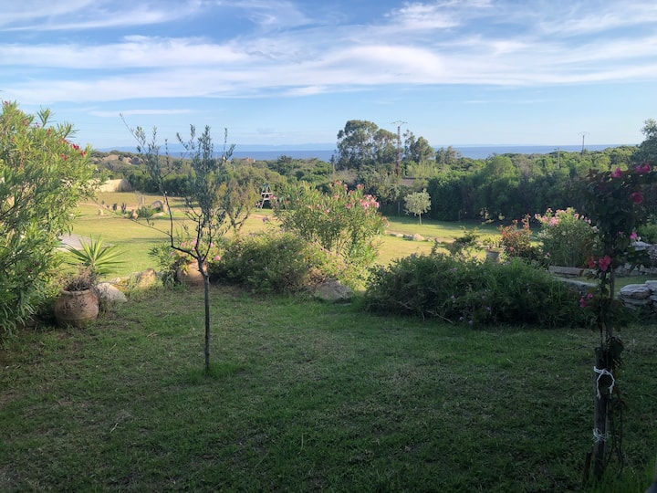 Magnifique Villa Avec Piscine Chauffée - Figari