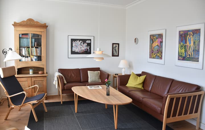 Lys Og Rummelig Lejlighed I Hjertet Af Silkeborg - Tanska