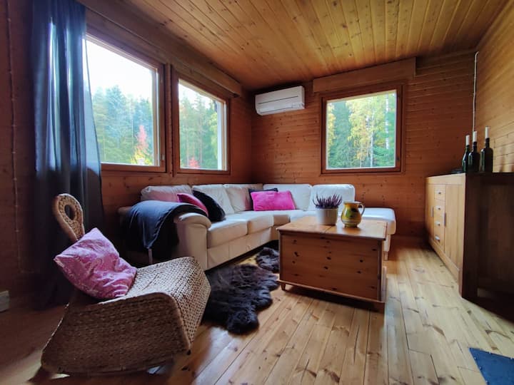 Two Cabins In The Wild - Loppi