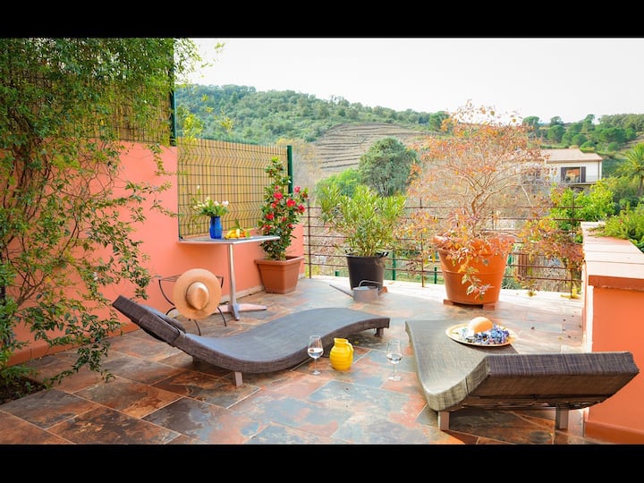 Dufy:calme,terrasse So35m2,vuedégagée,250m Plages - Collioure