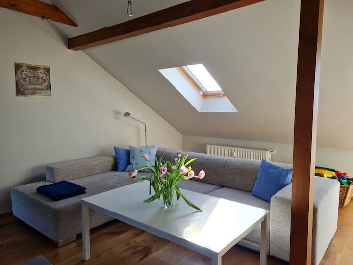 150qm Wohnung "Elbperle" Auf 2 Etagen Mit Elbblick - Dresde