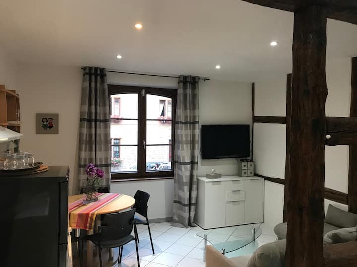 Bienvenue Gîte Les Hirondelles Eguisheim - Eguisheim