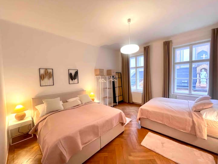 Big Apartment Close To The City Center - Vienne