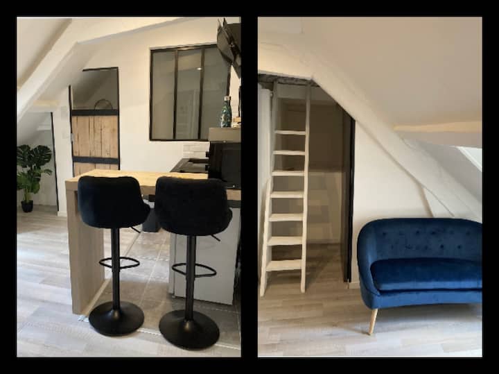 Joli Appartement Tropical Centre Ville Montargis. - Montargis