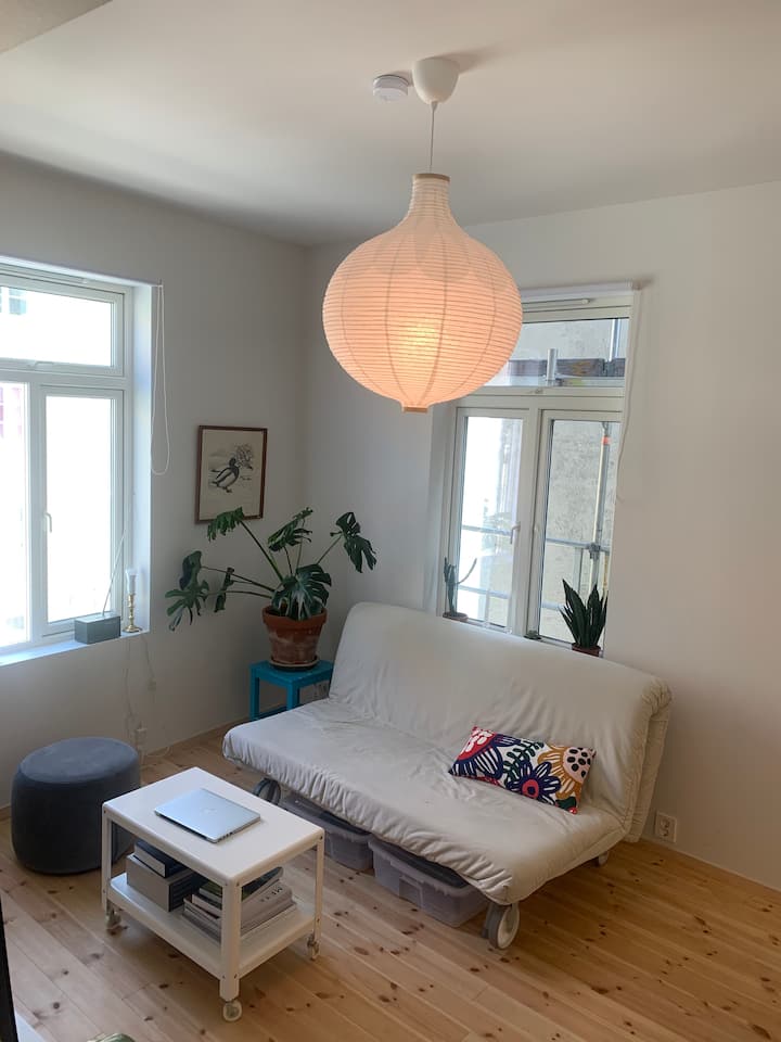 Cosy Studio Apartment In Møllenberg - Trondheim