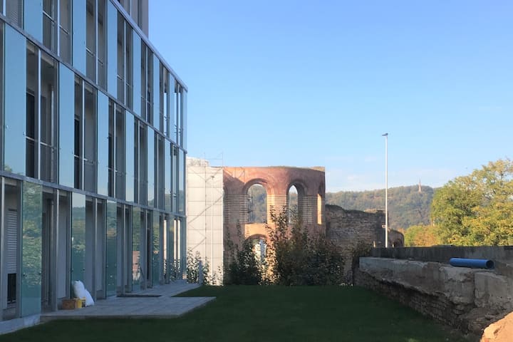 Cozy, Full Equiped And Next To The Kaiserthermen - Trier