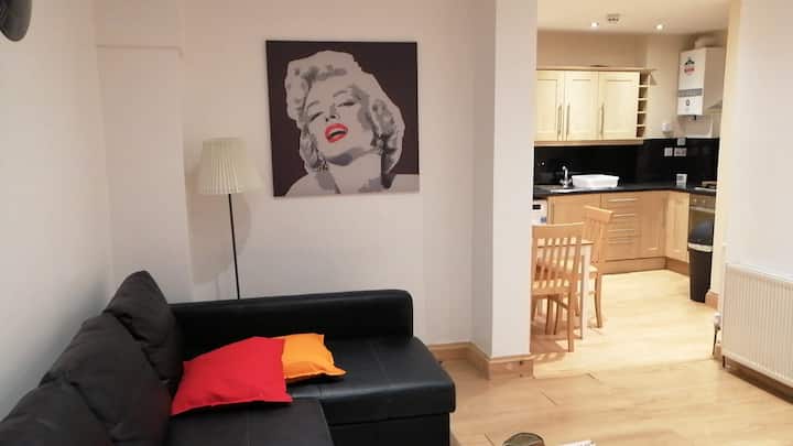 Comfortable Apartment In The Heart Of London - Central London