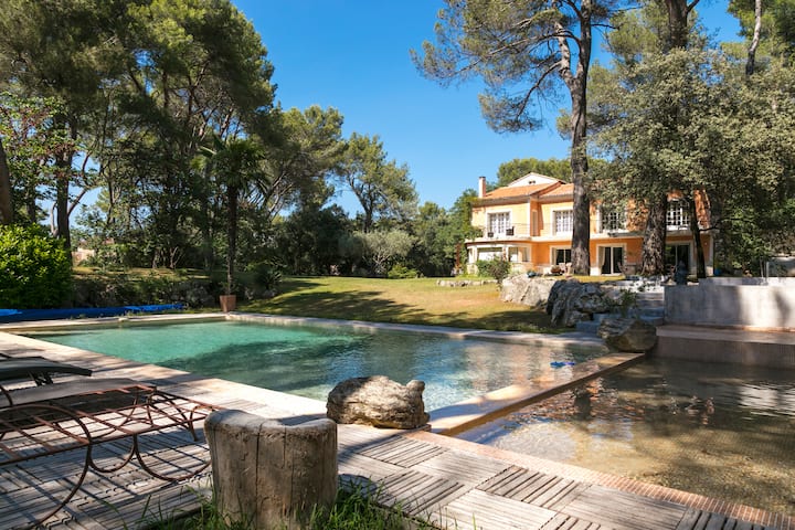 Villa Provençale De Prestige Piscine Billard - Vaucluse