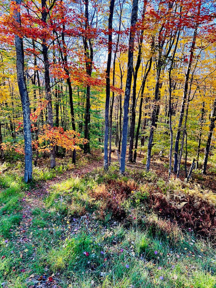 Fall Mountain Getaway With Large Hot Tub! - Davis, WV