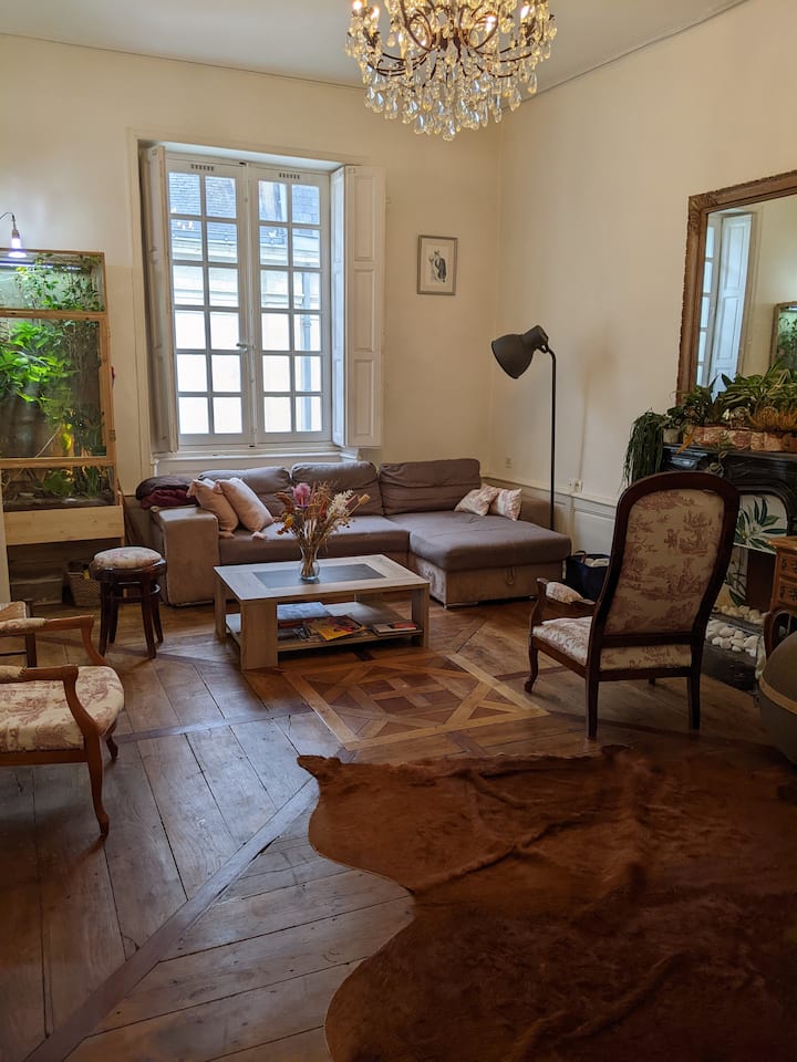 Appartement De Style Au Plein Coeur De Nantes - Nantes