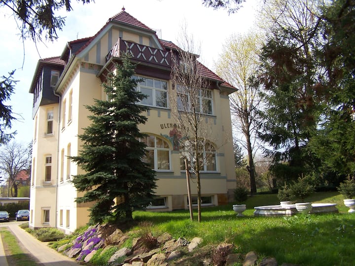 Schönes Appartement In Gehobenem Stadtteil - Dresden