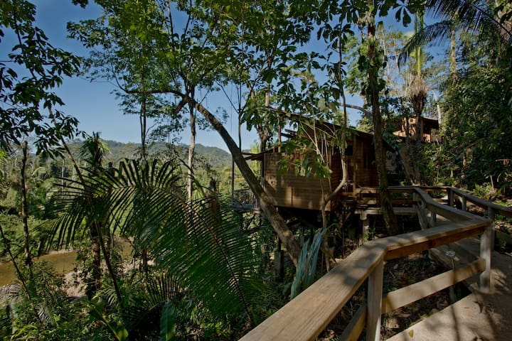 7 Best Treehouse Hotels In Belize | Trip101