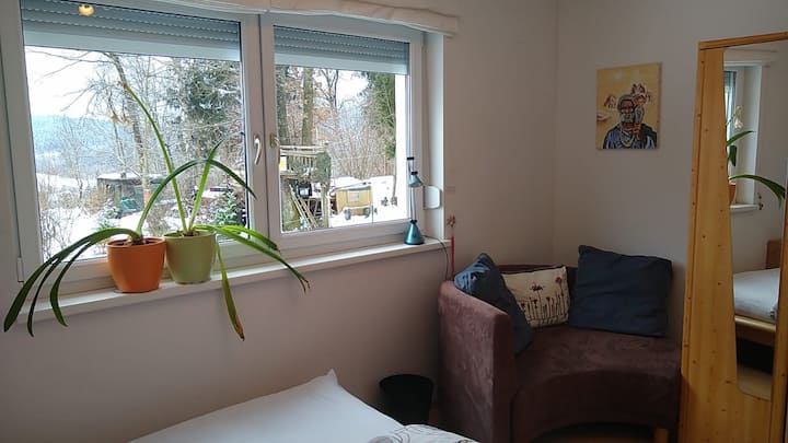Freundliches  Zimmer, Ideal Bei Anreise Mit Auto. - Klagenfurt