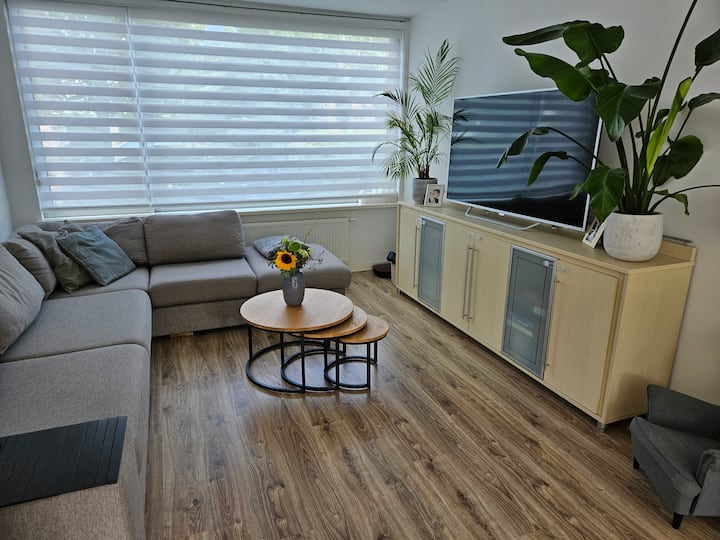 Ruim Familiehuis In Amsterdam Zuid - Amsterdam