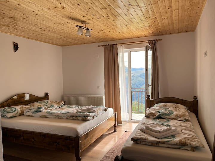Cabana Alpina Jina - Pojana