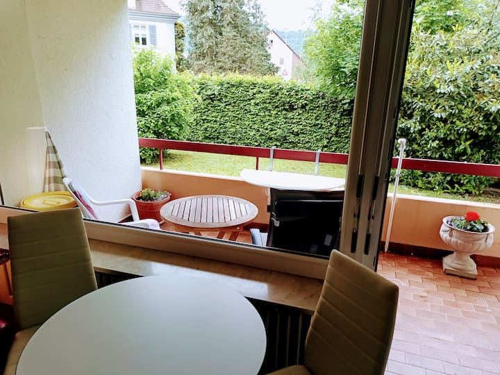 Comfortable 1-room Apartment At The Swiss Border - Küssaberg