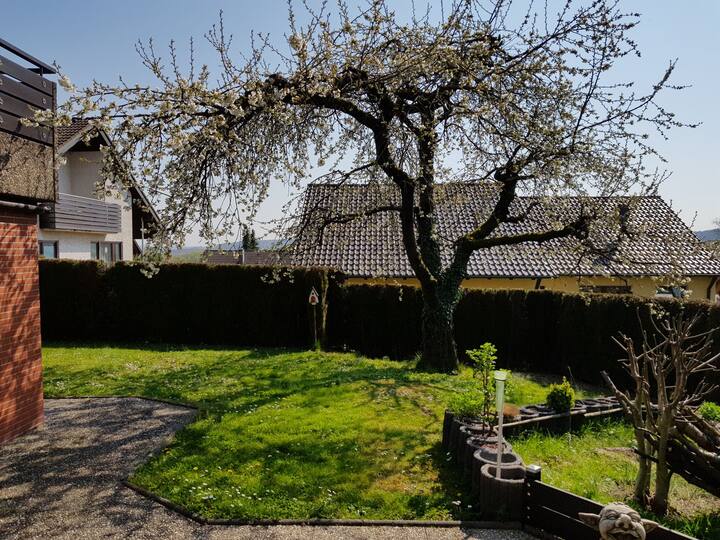 Großzügige Wohnung Mit Terrasse - Besigheim