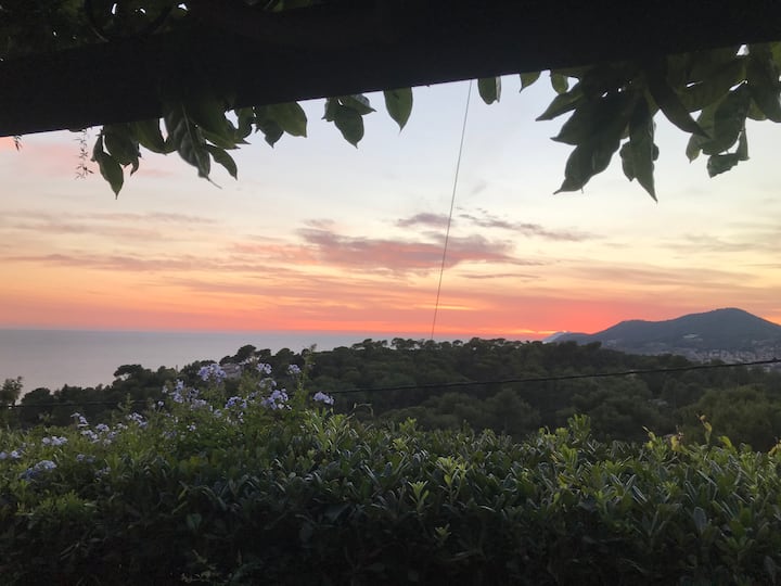 Appartement Entier Rdc Villa La Californie Varoise - Carqueiranne