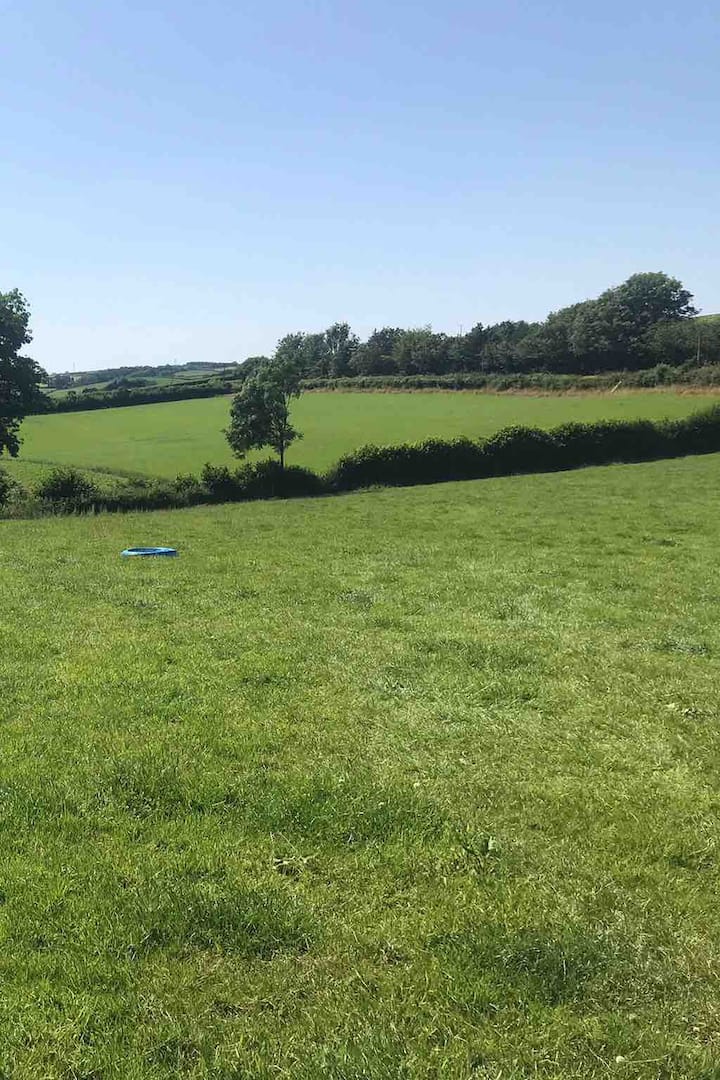 Wild Camping - Exmoor