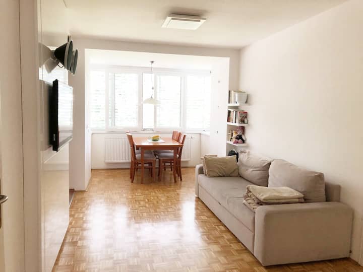 Cosy Family Apartment - Ljubljana