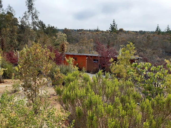 Hermosa Y Acogedora Casa En Parcela En Algarrobo - Algarrobo