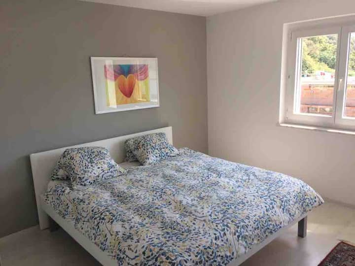 Wunderschönes Zimmer Mit Seesicht - Ascona