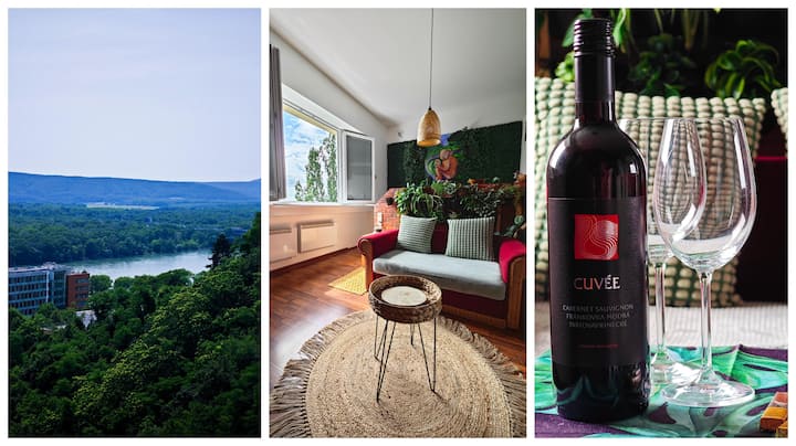 River View Tiny Apartment - Bratislava