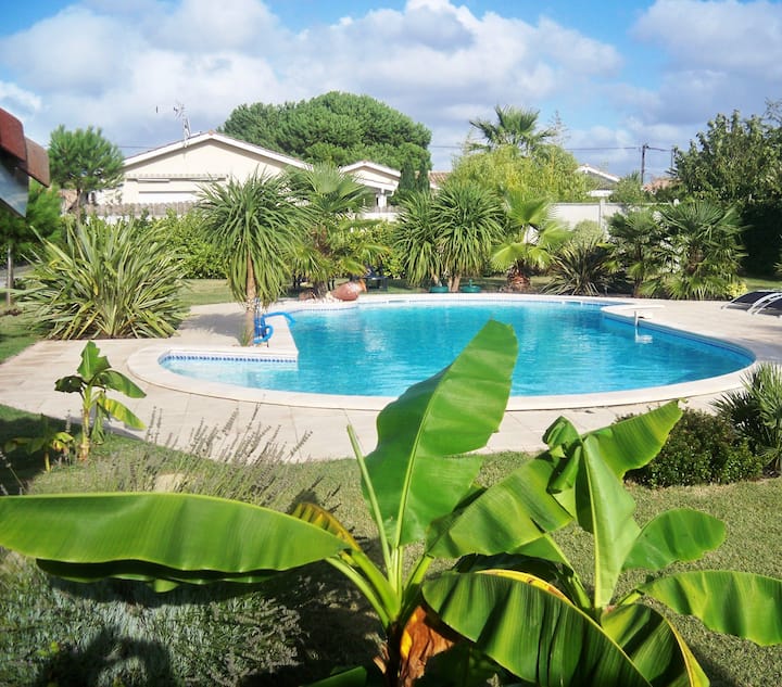 Maison 2 Pièces Sud Bassin D’arcachon - La Teste-de-Buch