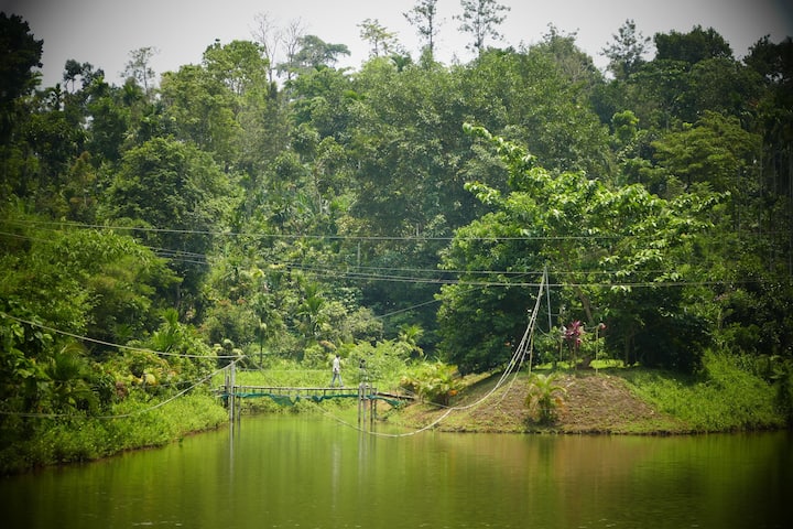 Experience Nature As It Is - Wayanad