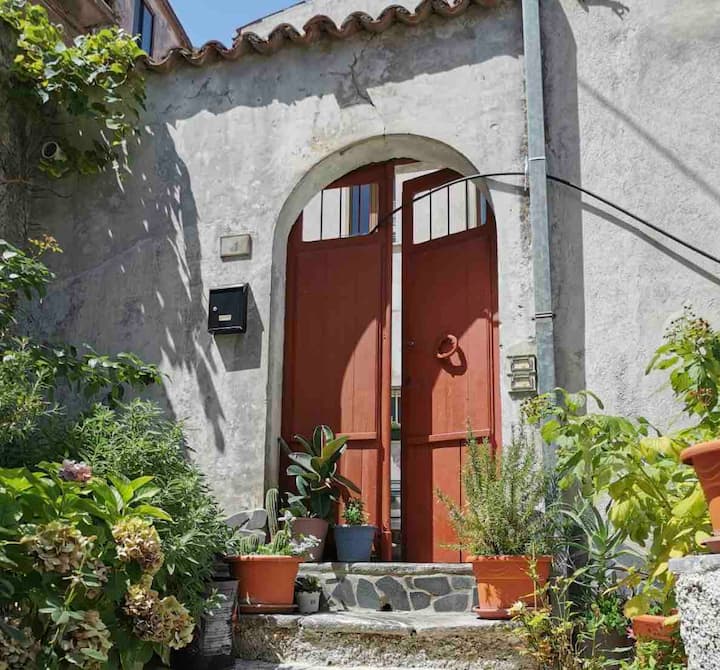 Casa Bianca: Tra Mare E Montagna - Praia A Mare