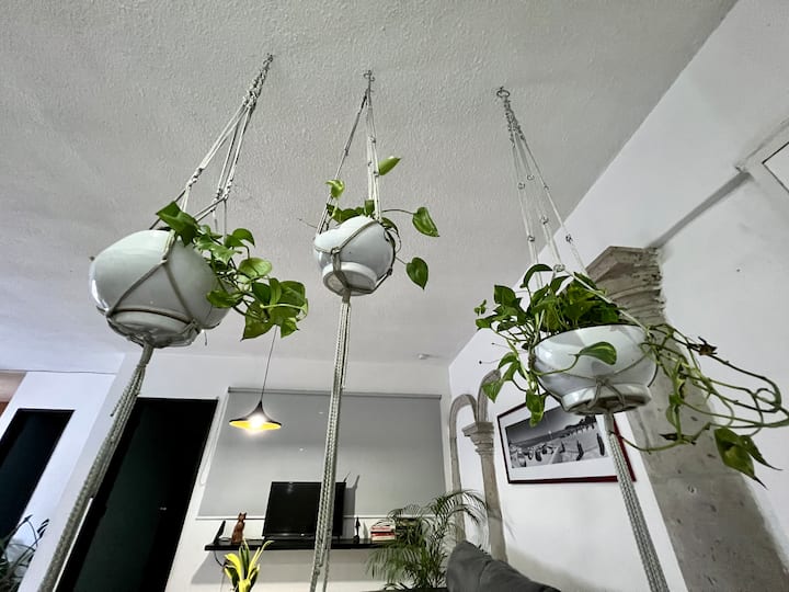 El Depa. De Santa Tere - Guadalajara